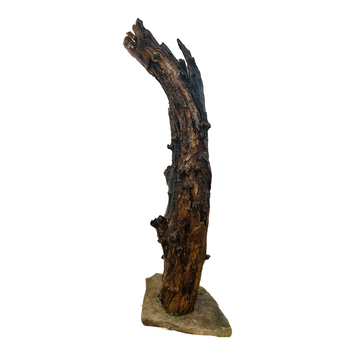 Organic Modern Handmade Tree Trunk Lamp